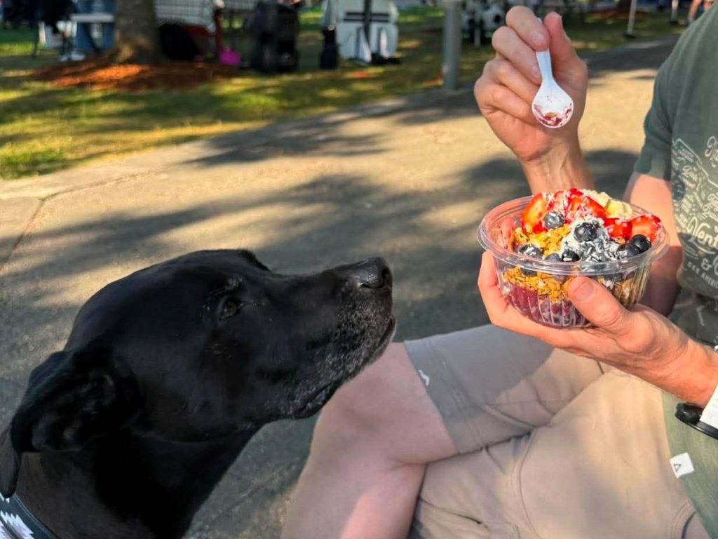 The Açaí Was Delicious, Probably – Eating My Way to the Top